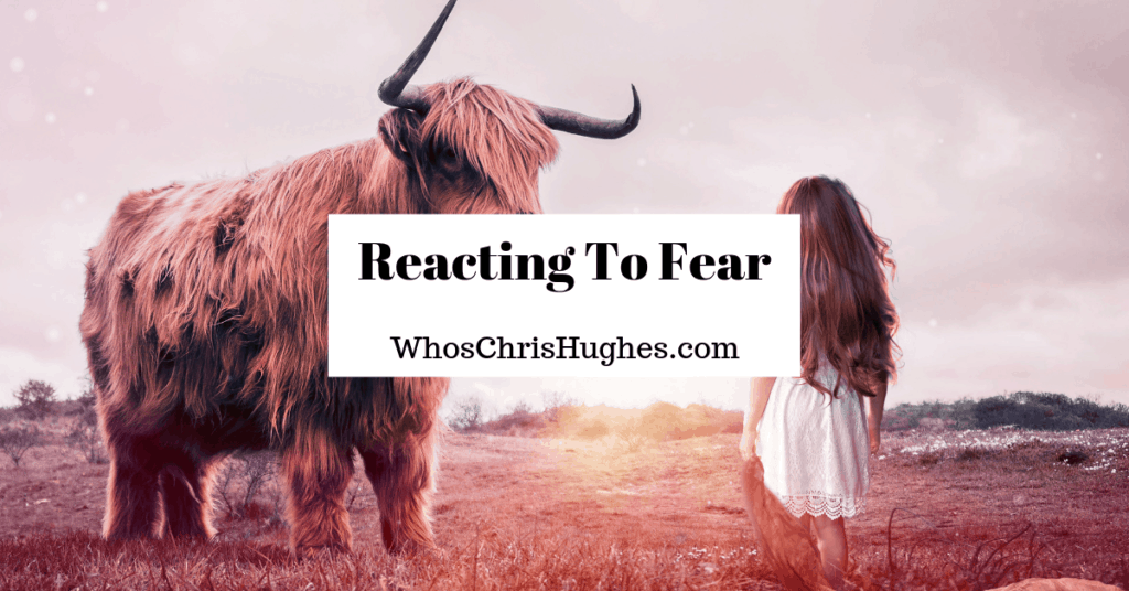 How Do You React To Fear? – WhosChrisHughes.com